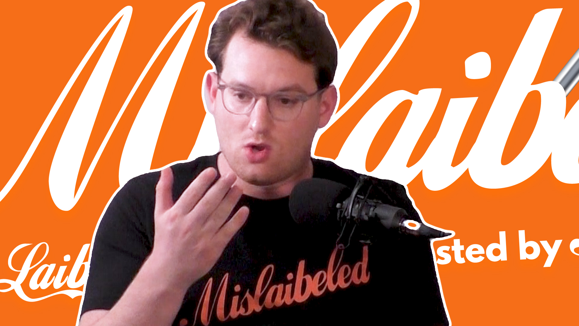 Blog – Mislaibeled